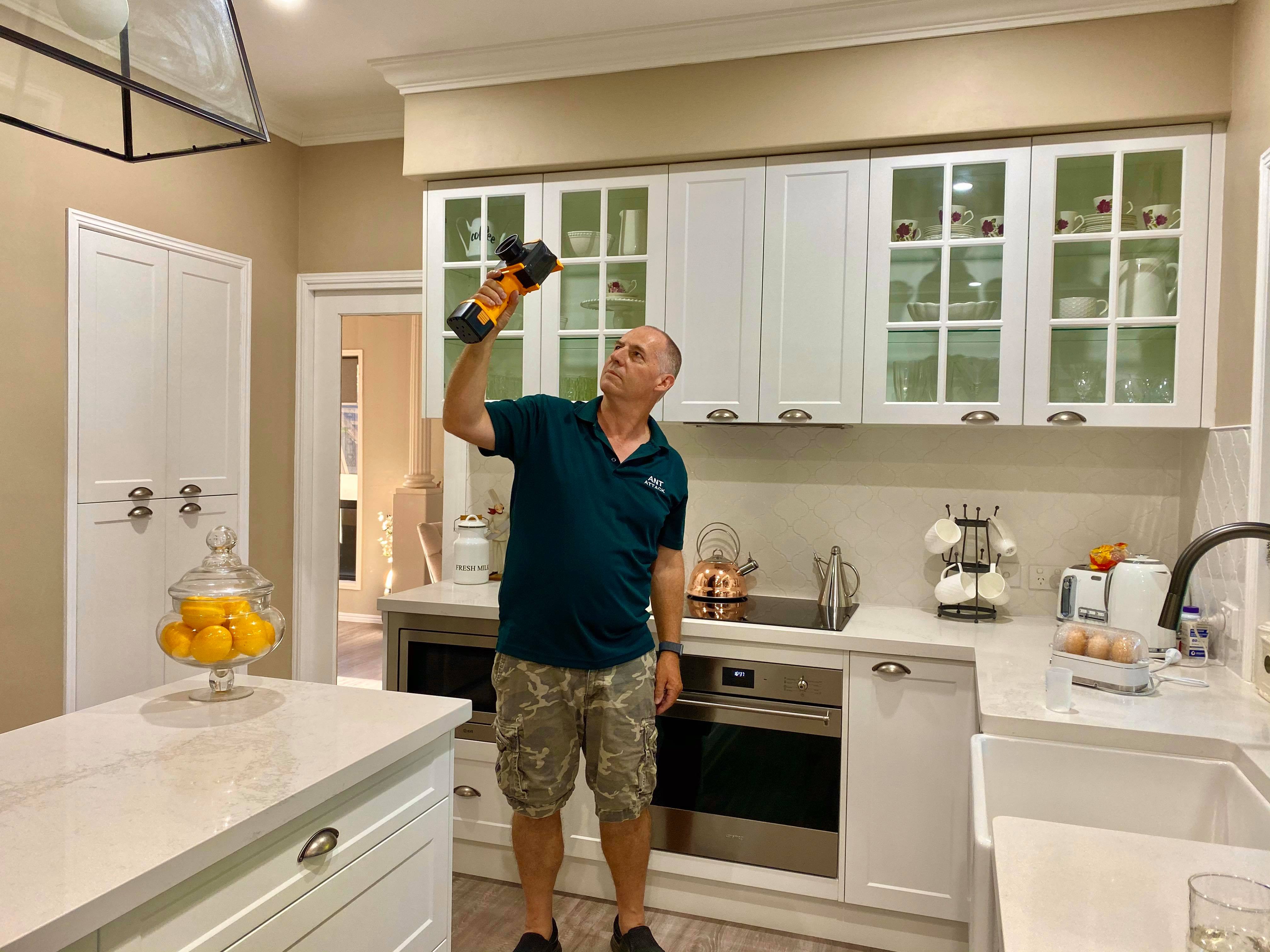 Ant Attack – Pest Control