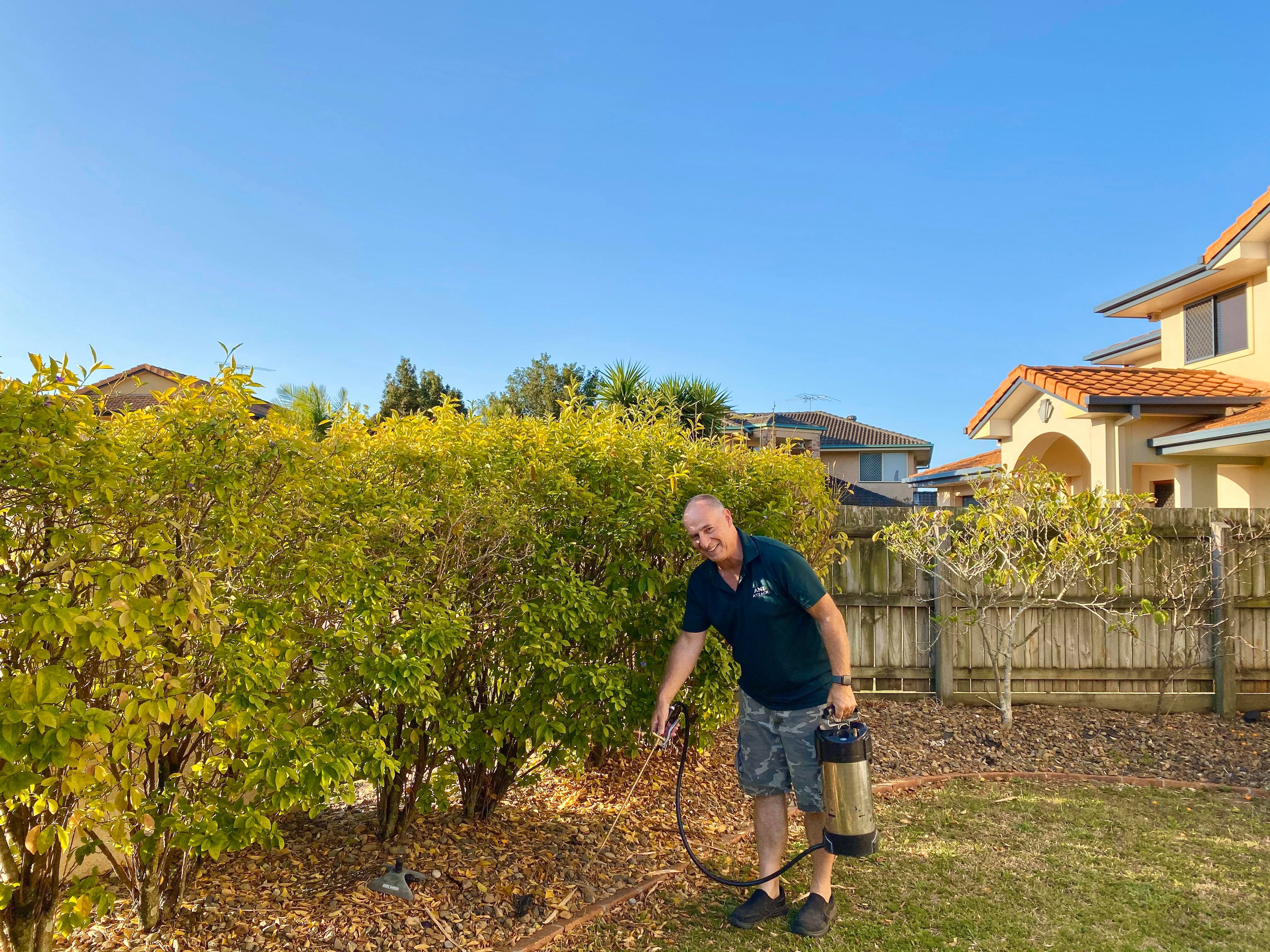 Ant Attack – Pest Control